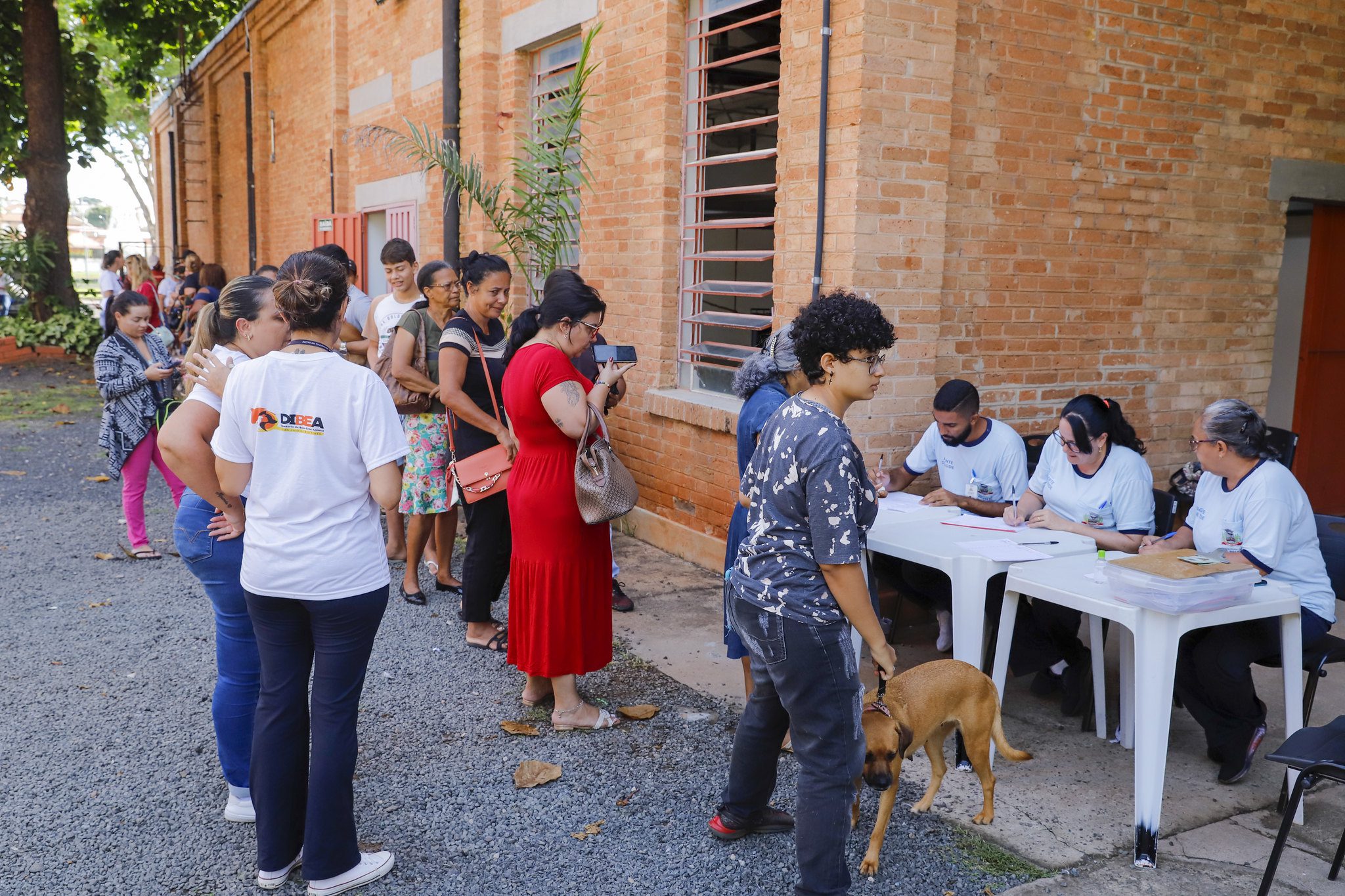 Bem-Estar Animal pede atenção aos agendamentos de castração